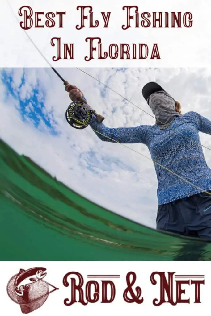Where Is The Best Fly Fishing In Florida? There Are So Many ...