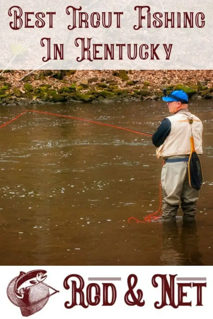 Where Is The Best Trout Fishing In Kentucky? – Rod And Net