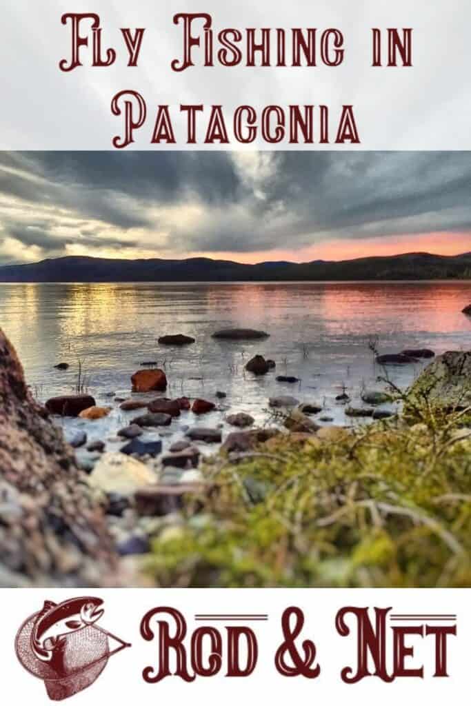 Best Fly Fishing in Patagonia. What You Need To Know! – Rod And Net