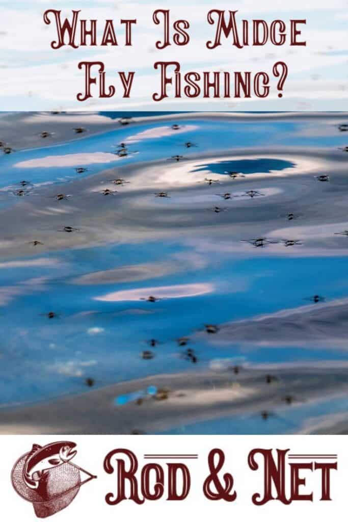 What Is Midge Fly Fishing? – Rod And Net