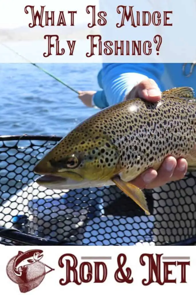 What Is Midge Fly Fishing? – Rod And Net