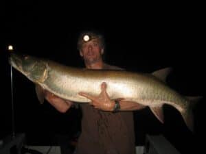 Muskie and Tiger Muskie Teeth: Facts You Need to Know – Rod And Net