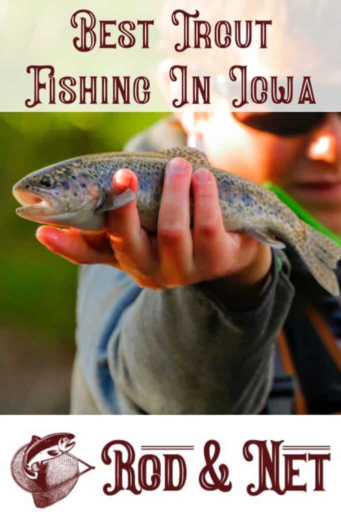 Where Is The Best Trout Fishing In Iowa? – Rod And Net