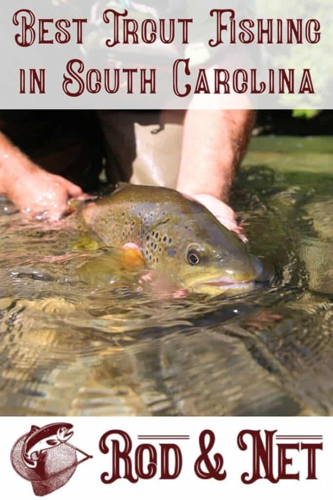Where Is The Best Trout Fishing In South Carolina? And Other South ...