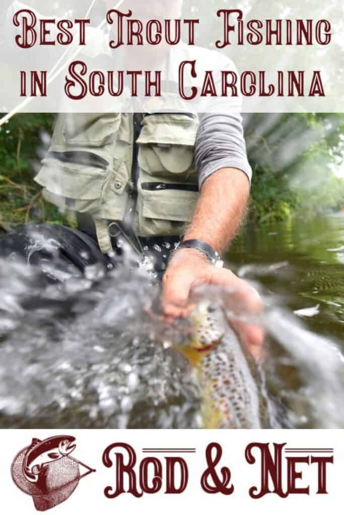Where Is The Best Trout Fishing In South Carolina? And Other South ...