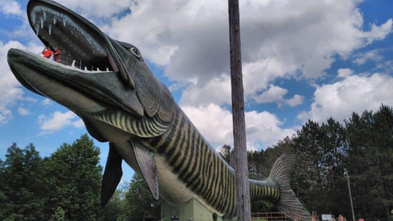 Muskie and Tiger Muskie Teeth: Facts You Need to Know – Rod And Net