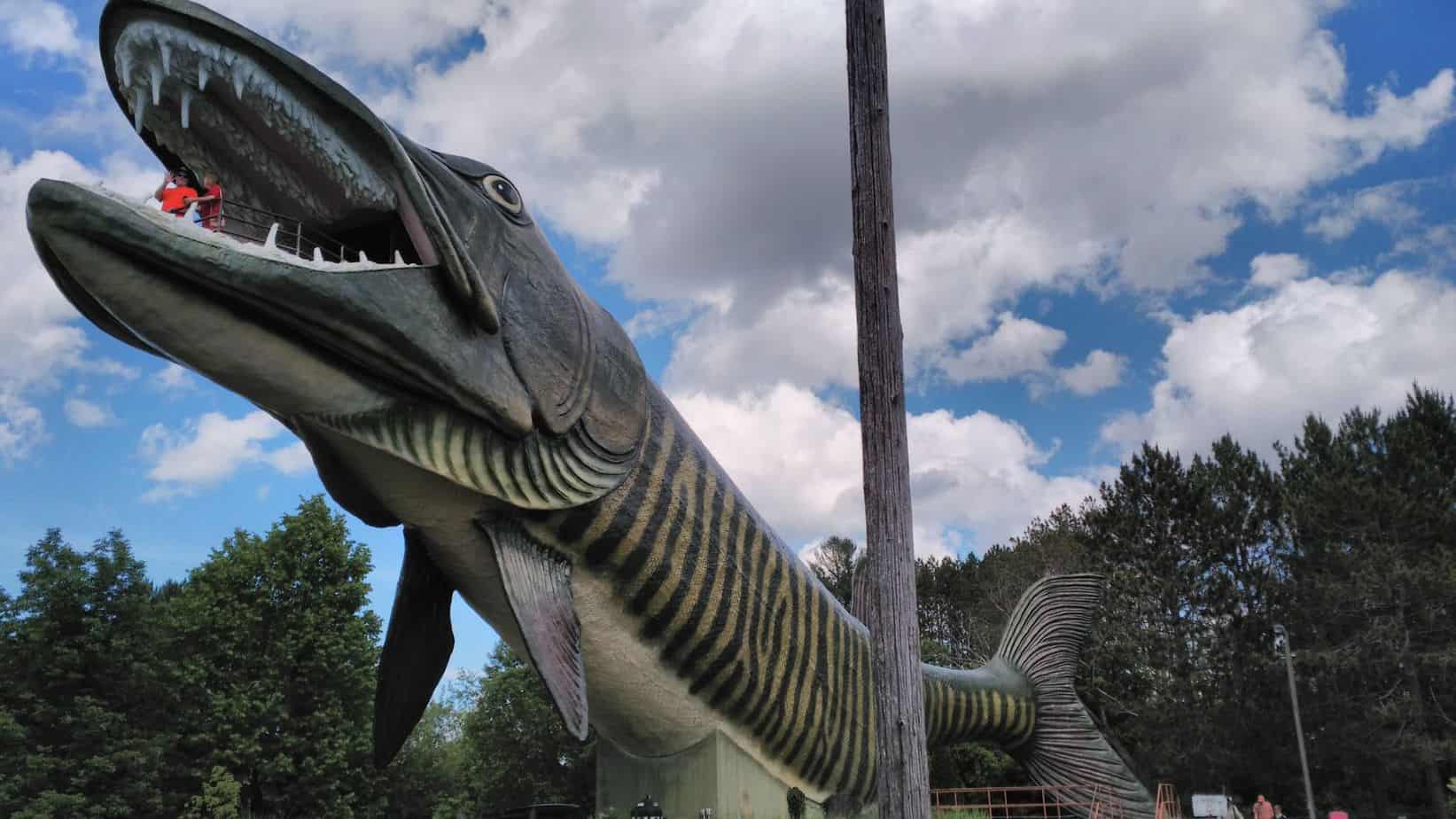 Muskie and Tiger Muskie Teeth: Facts You Need to Know – Rod And Net