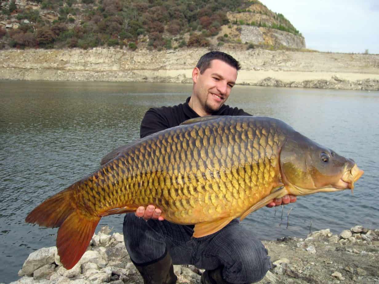 What’s the Difference Between Carp and Buffalo Fish? – Rod And Net