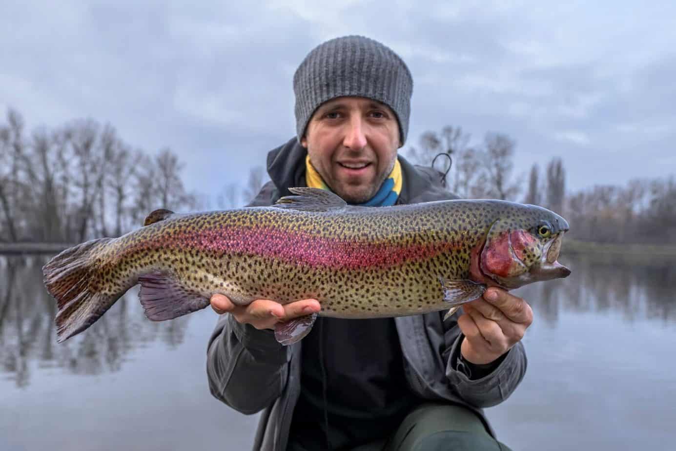 What’s The Difference Between Steelhead And Rainbow Trout? – Rod And Net