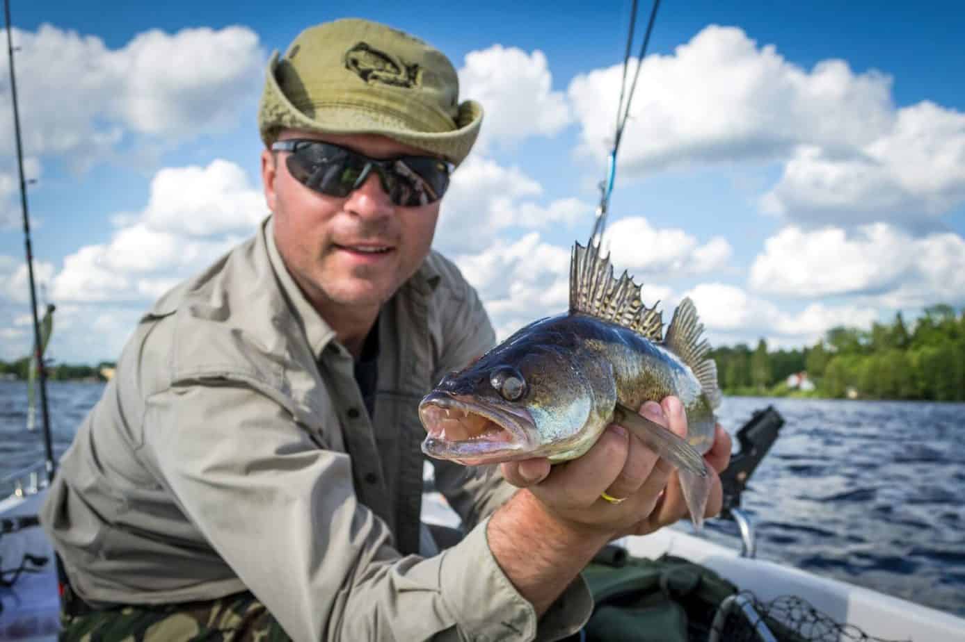 What is the Difference Between Walleye and Muskie? – Rod And Net