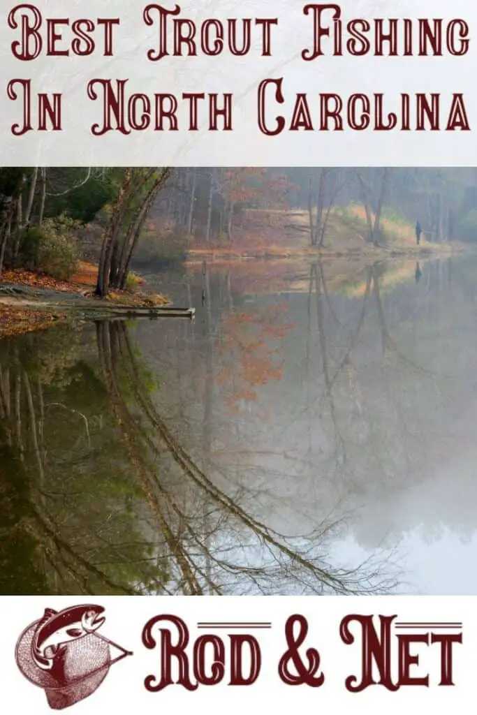 Where Is The Best Trout Fishing In North Carolina? Things You Should ...